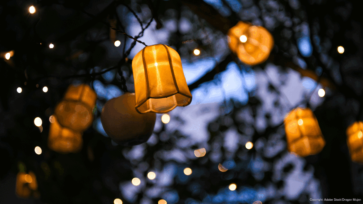 Kosmos Lecture on sustainable urban development at the Humboldt ...