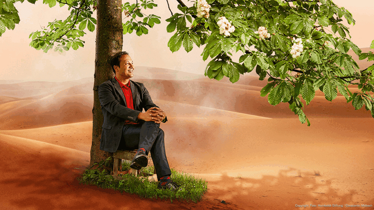 Which Tree Has the Greatest Cooling Effect in Summer, Mr Rahman ...