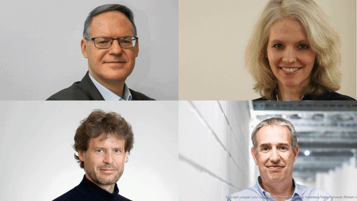 Humboldt Foundation congratulates Leibniz Prize winners